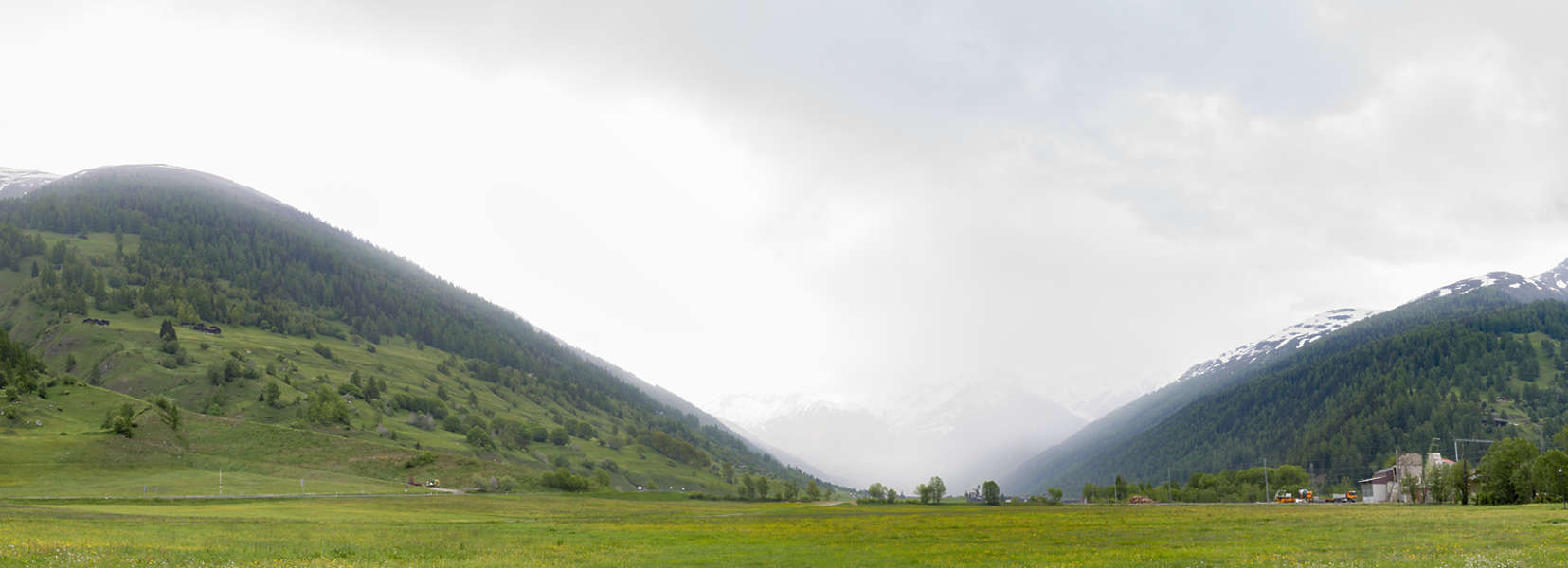 Grey Hills Twitter Background