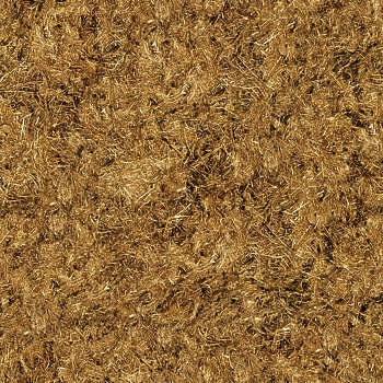 Seamless Dry Grass Texture