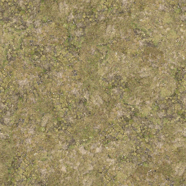 Sand grass texture seamless - boyslua