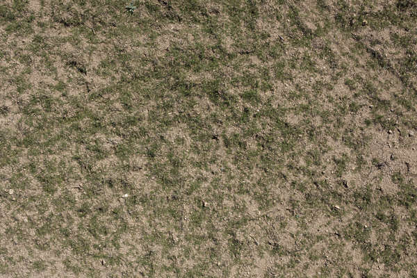 Sand grass texture seamless - boyslua