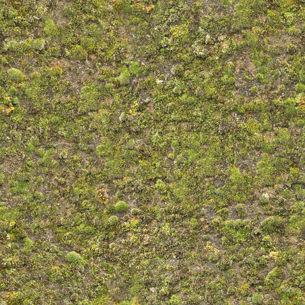 Mossy grass texture seamless - berybalance