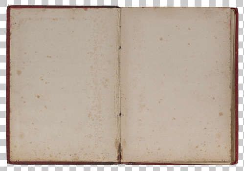 Open Book Pages Texture
