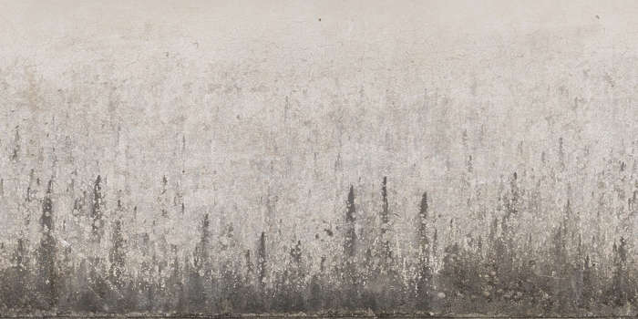 Dirty White Wall Texture