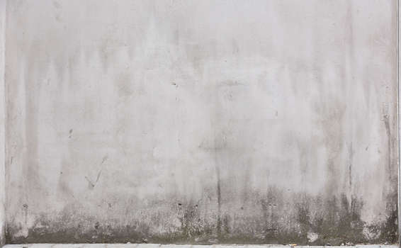 Dirty White Wall Texture