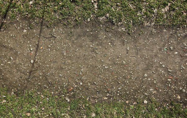 Footpath Texture With Grass