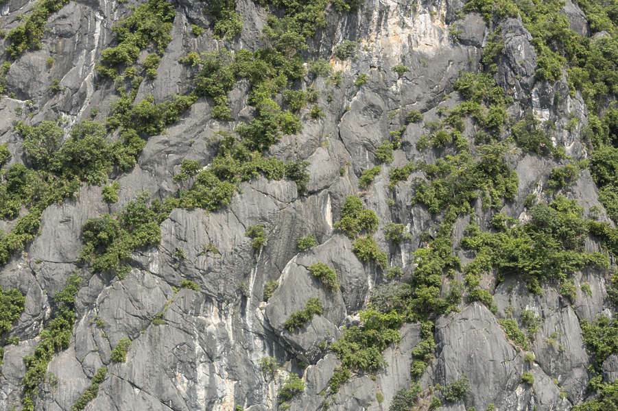 Seamless Mountain Texture