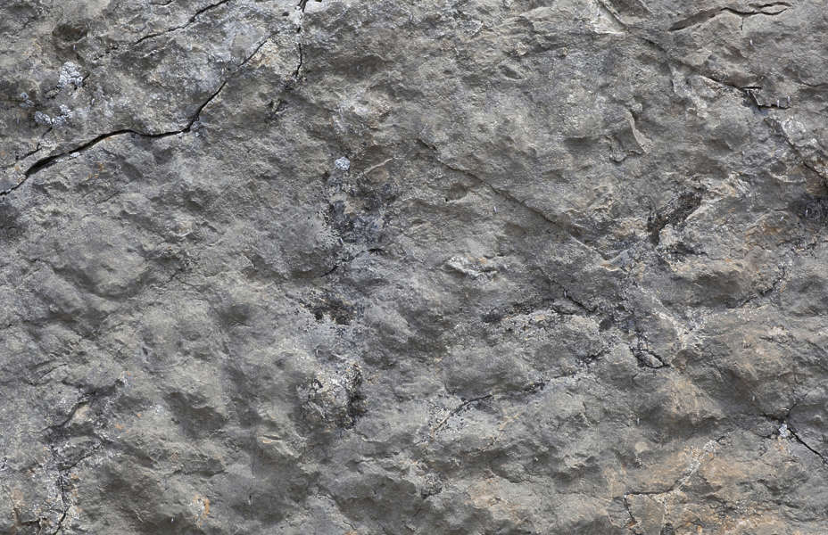 RockSmooth0100 - Free Background Texture - rock rocks rough smooth ...