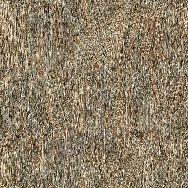 Free Texture 6 Thatch