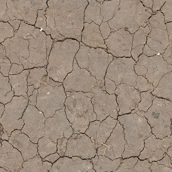 Textures Soil Cracked