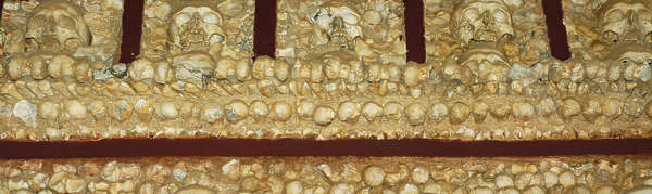 Skeleton Wall Texture Seamless