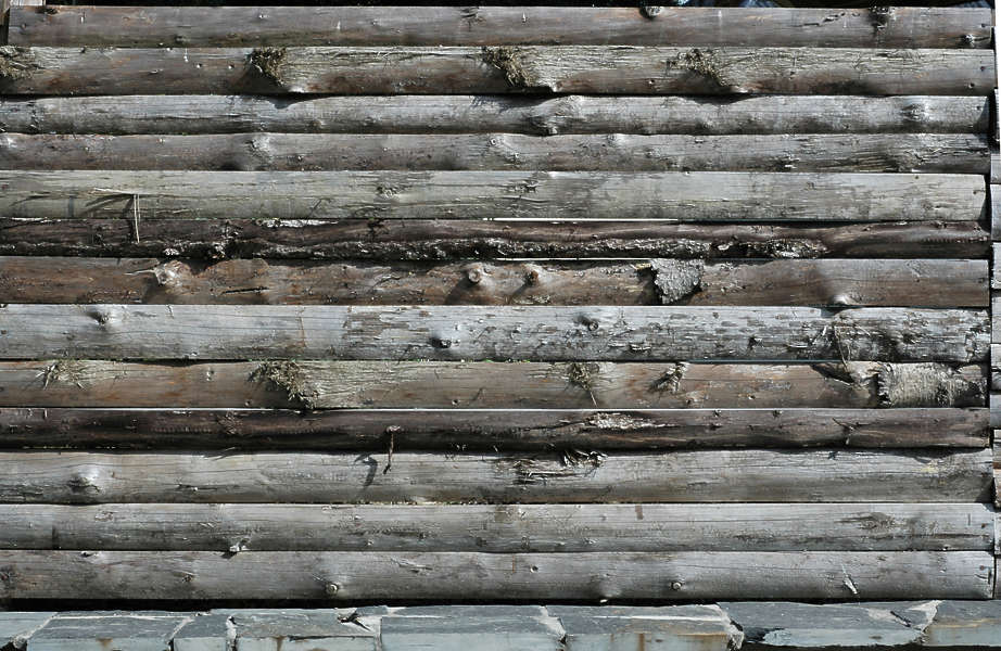 Wooden Log Texture Of