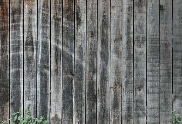 Old Wood Siding Texture