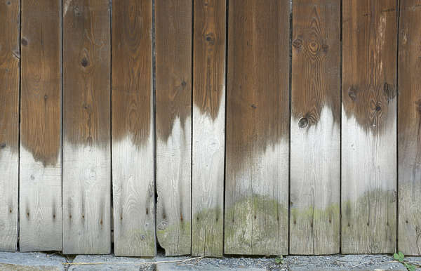Old Wood Siding Texture