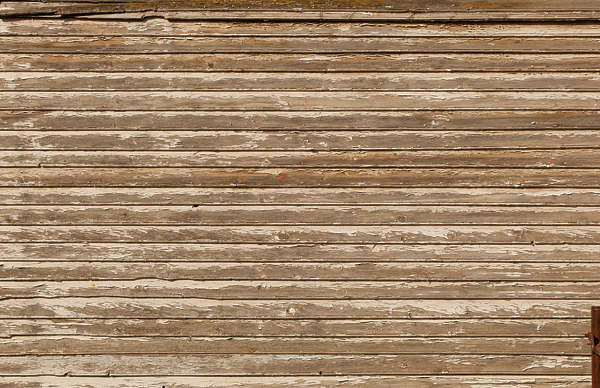 Old Wood Siding Texture Tileable