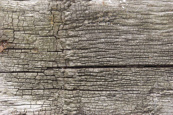 Brown Rough Wood Texture Rough Wood Texture 0001 Texturelib